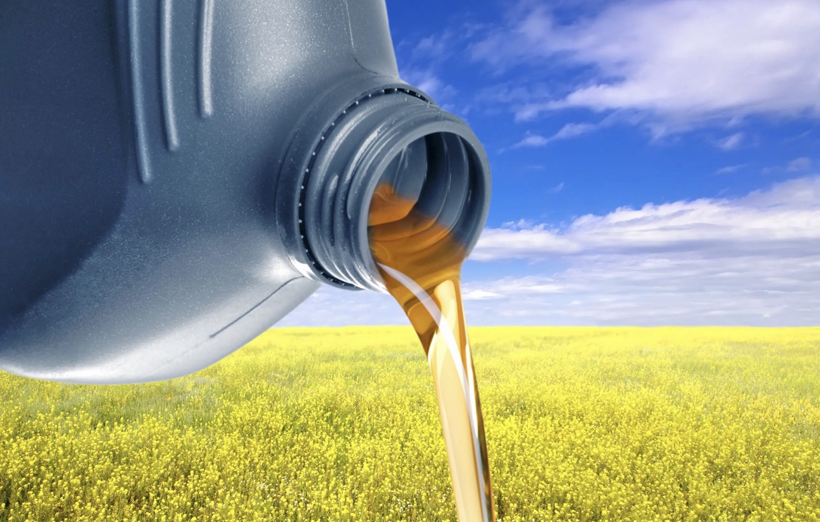 From Engine Lubricant to Kitchen Staple: The Journey of Canola Oil ...